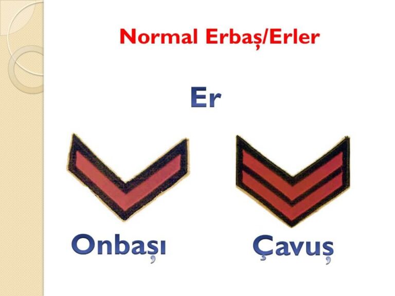 Hava Kuvvetleri Rütbe ve Sınıf İşaretleri | Askeri Birlikler